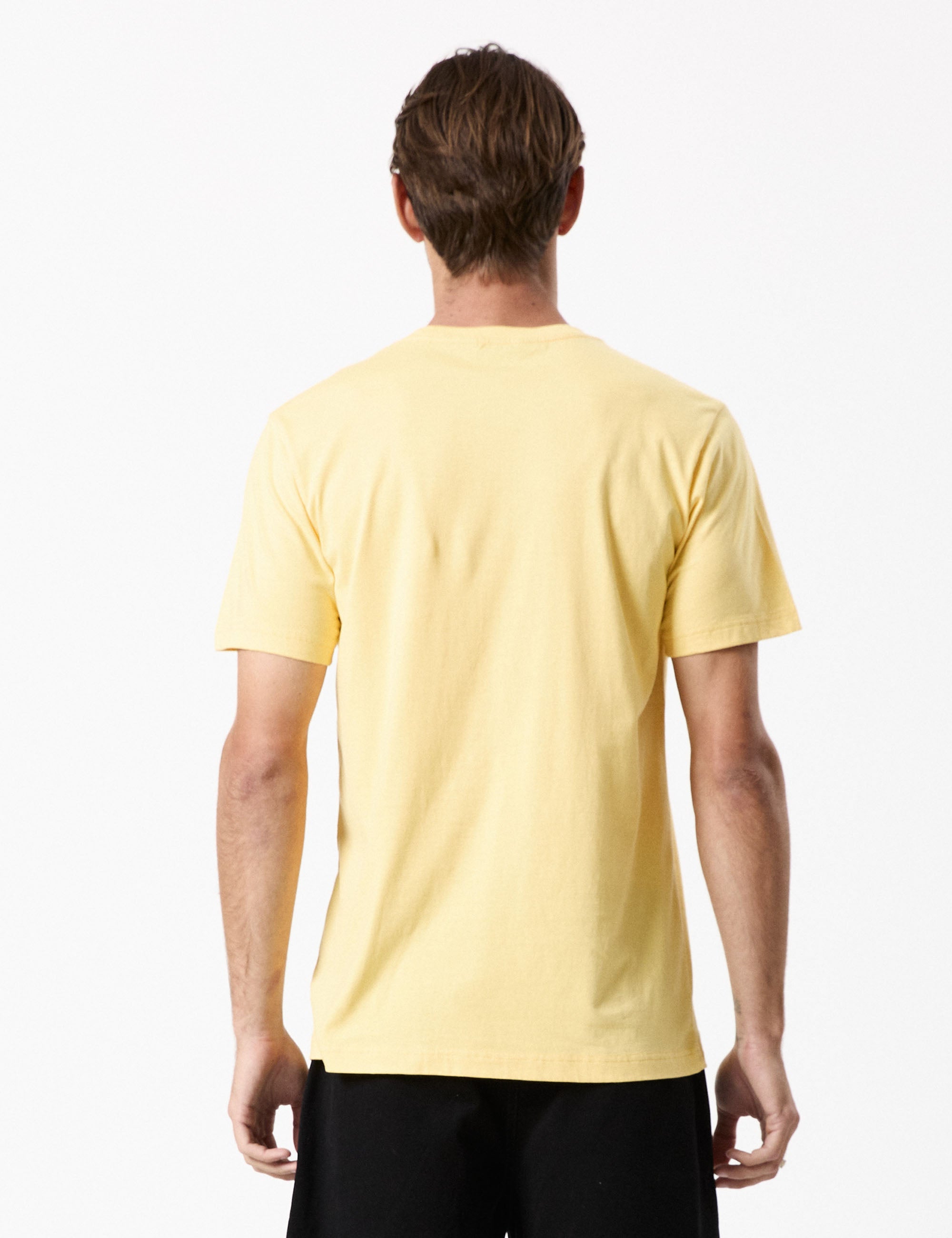 Reginald Organic Tee - Ray – Mr Simple